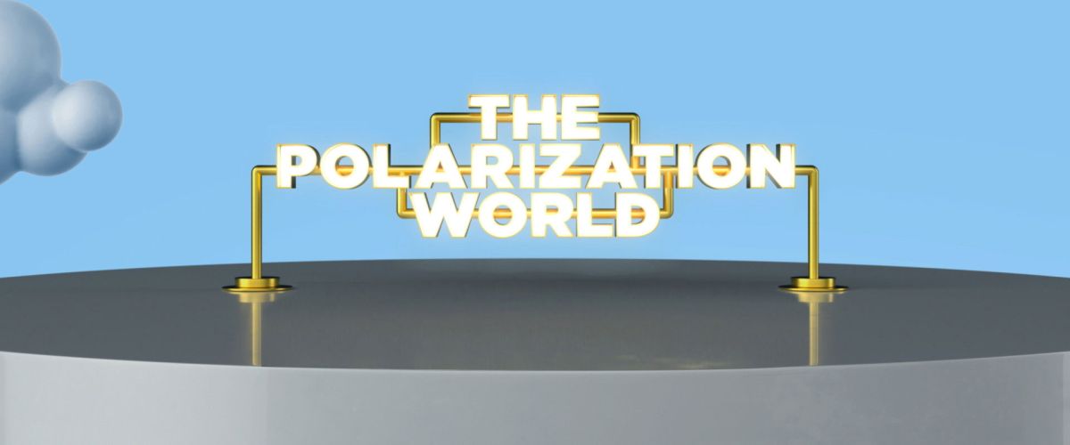 Zoom sur Polaroid - The Polarization World