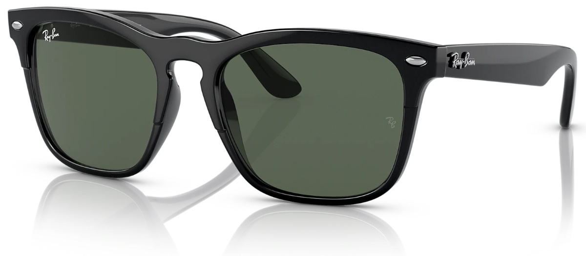 Lunettes de soleil Ray-Ban Steve RB4487 6629/71 54-18 pas cher