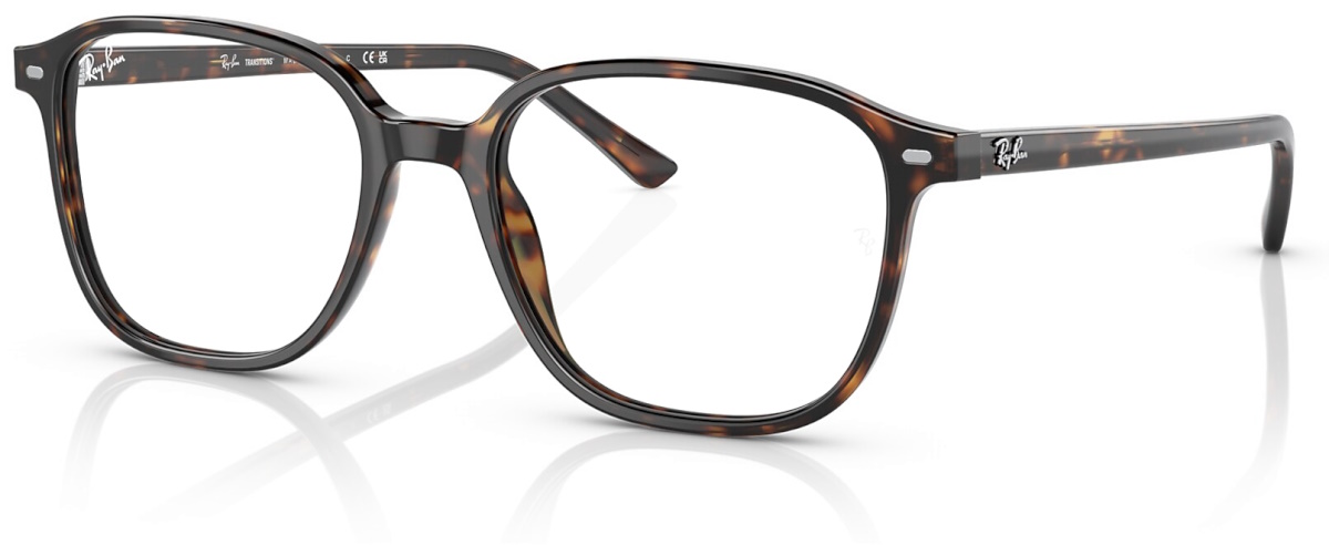 Lunettes de soleil Ray-Ban Leonard Transitions Medium RB2193 902/GH 53 ...