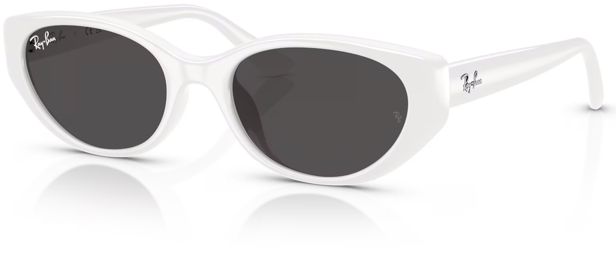 Lunettes de soleil Ray-Ban Bio-Based RB4457D 6772/87 55-19 pas cher