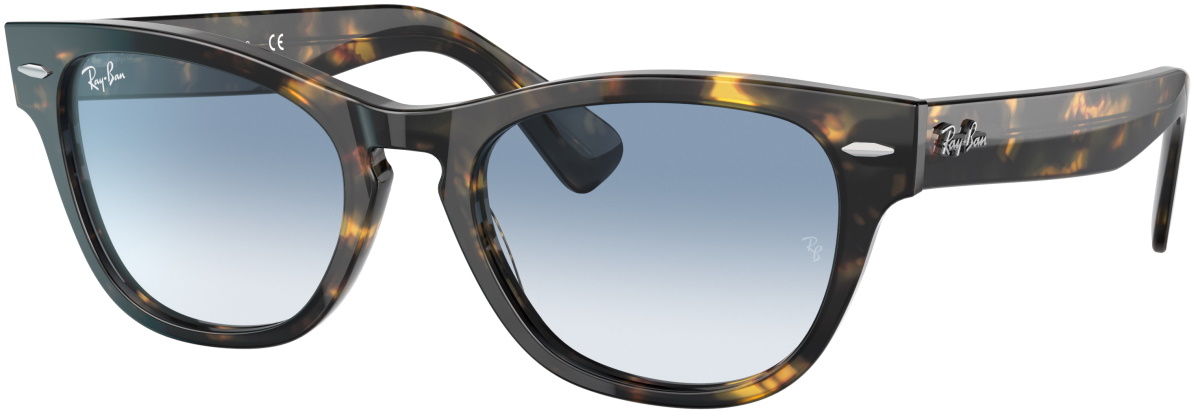 Lunettes de soleil Ray-Ban Laramie RB2201 1332/3F 54-20 pas cher