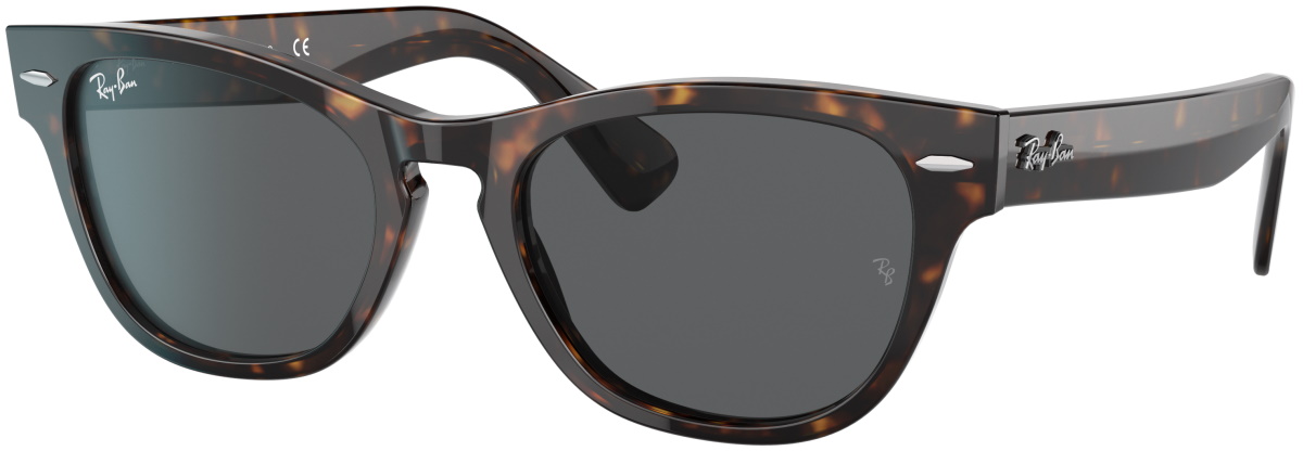 Lunettes de soleil Ray-Ban Laramie RB2201 902/B1 54-20 pas cher